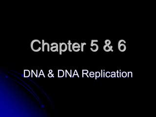 Chapter DNA DNA Replication Ppt