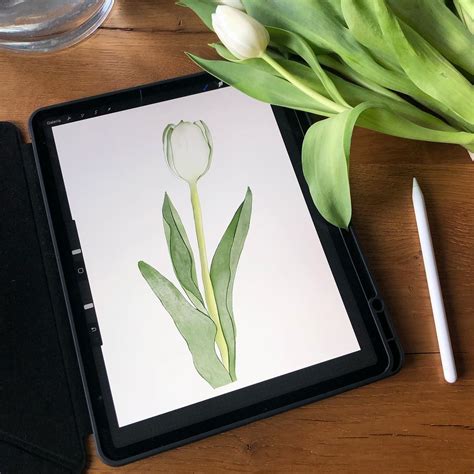 Creative Procreatedrawing 🌷 ️ Procteate Drawing Procreateart