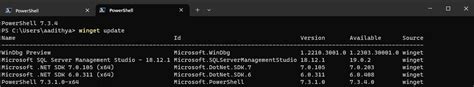 Winget Reporting The Wrong Version For Some Apps · Issue 2817