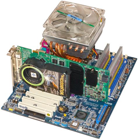 Видеокарты Nvidia Pci Express – Telegraph