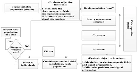 Procedure Workflow Of Evaluation Objective Functions Using Nsga Ii Download Scientific Diagram
