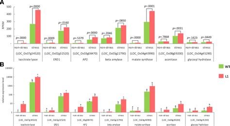 Real Time Rt Pcr Verification Of Rna Seq A Rna Seq Results With P