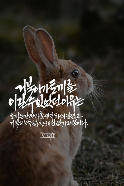 공부자극글귀목표를향해달리세요 In 2024