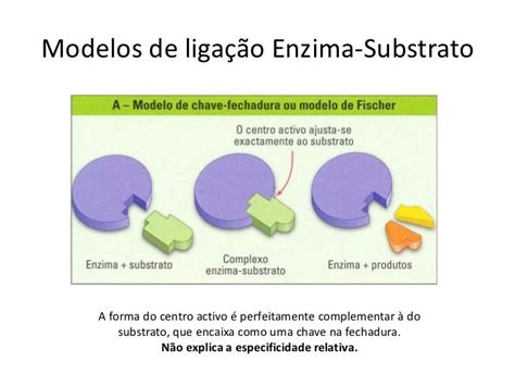 Bio12 Enzimas