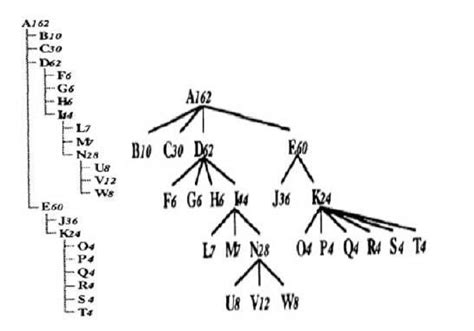 2 hierarchical data and corresponding tree representation download