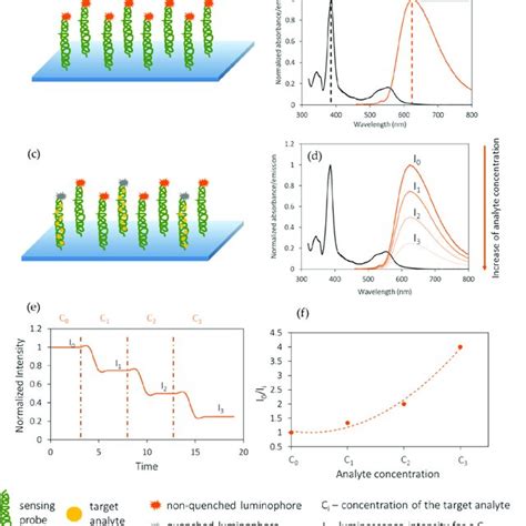 Sensitivity Limit Of Detection And Dynamic Range Of A Calibration Download Scientific Diagram
