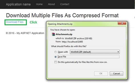 Downloading File From External Server Using Credential In Aspnet Mvc