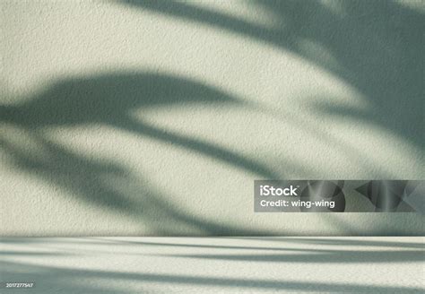 그린 베이지색 Bg 부엌 배경 바닥 배경 빈 연단 환경 그림자 나뭇잎 식물 미니멀 책상 스튜디오 방 벽 패턴 추상 3d 여름 봄 테이블 공간 대리석 모형 프리젠 테이션