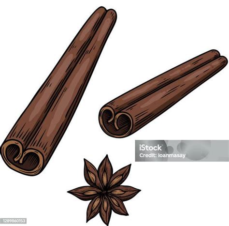 인그레이빙 스타일로 계피의 일러스트 엠블럼 사인 포스터 카드 배너 전단지를 위한 디자인 요소 벡터 일러스트레이션 가지 식물 부위에 대한 스톡 벡터 아트 및 기타 이미지