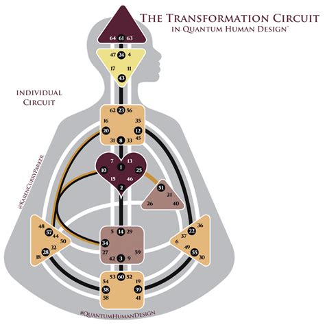 human design circuits what do they mean