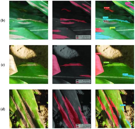 Example Diagrams Of Segmentation Results Of Maize Leaf Lesions A