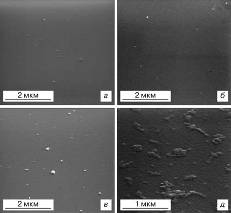 SEM Images Of The Surfaces Of The Experimental Specimens Grown On Download Scientific Diagram