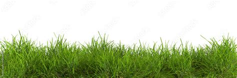 Natural Fresh Green Grass Cut Out Backgrounds 3d Rendering Stock