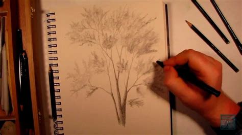 How To Draw A Realistic Tree
