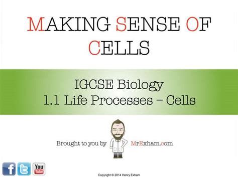 Cambridge Igcse Biology Cells Structures And Functions Pptx Biological Sciences Science