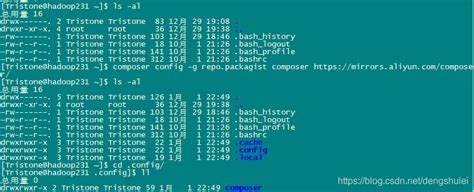 如何安装composer？怎么将composer切换为国内源？（阿里源） composer更换阿里源 csdn博客