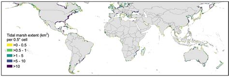 Mapping The Worlds Tidal Marshes Geography Realm