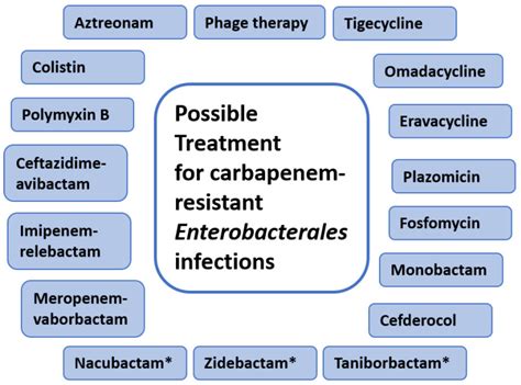 An Overview On Phenotypic And Genotypic Characterisation Of Carbapenem