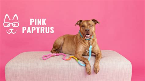 Dank Nity Dank Nity Lemme See It R Kelly Sex Me Radio After Dark