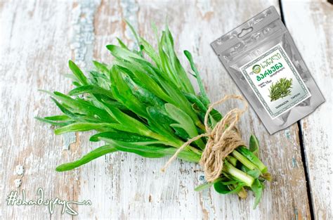 🌱 არომატული და ხასხასა ტარხუნა ოჯახური • Ojakhuri