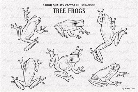 Tree Frogs Vector Line Art Set Frog Tattoos Tree Frog Tattoos Creepy Tattoos
