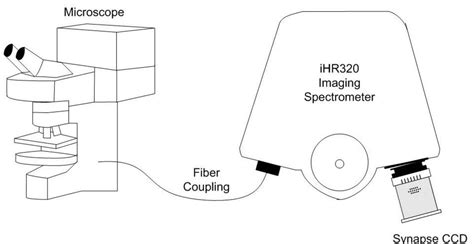 Experimental Assessment Of Metal Nanostructures As Effective Sers Substrates Horiba