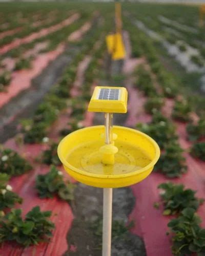 Mini Solar Insect Trap At ₹ 999 Piece Solar Insect Trap In Rajkot Id 2855433063648