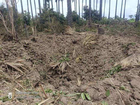 ယင်းမာပင်မြို့နယ်၊ ထန်းတော တိုက်ရွာကို တိုက်ပွဲဖြစ်ပွားခြင်းမရှိဘဲ စစ်တပ်က လေယာဉ်ဖြင့် ဗုံးကျဲ