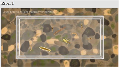 Macroinvertebrates Biology Simulations