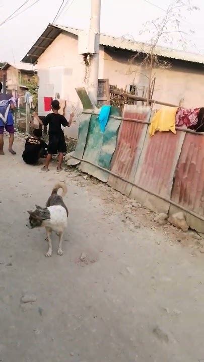 2025 ခုနှစ် ဖေဖော်ဝါရီလ 23 ရက် Youtube