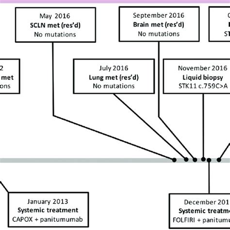 Mutational Evolution Of The Tumour In The Various Sites Over Time