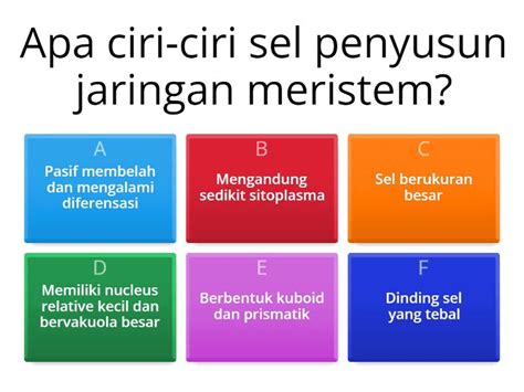 Struktur Dan Fungsi Tumbuhan Quiz