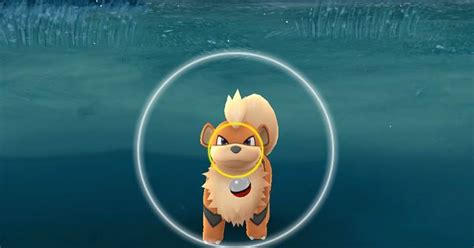 El Lavadero De Las Mu Ecas Baja Consumo De Porno Por Culpa De Pok Mon Go