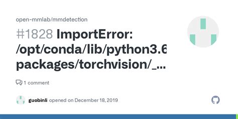 ImportError Opt Conda Lib Python Site Packages Torchvision C Cpython M X Linux Gnu