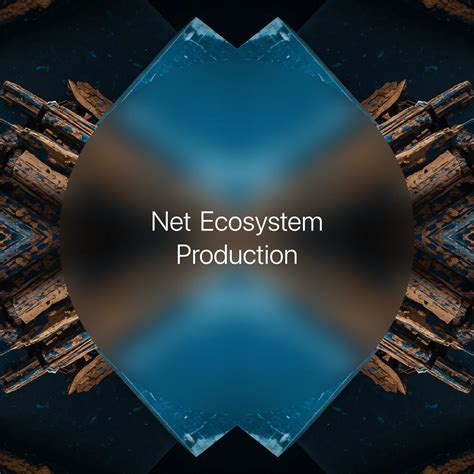Net Ecosystem Production → Term