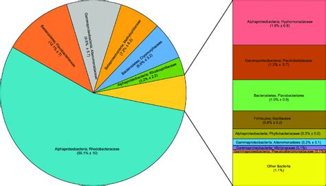 Microbiome Community Structure Of Odontella Sp Cultures Using 16s Rdna