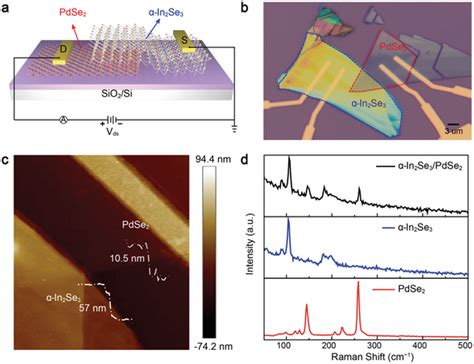 The Structure Characterizations Of The α‐in2se3 Pdse2 Photodetector A Download Scientific