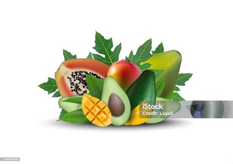 3d 승진 배너 현실적인 망고 아보카도 떨어지는 조각 비타민 나뭇잎 파파야 아이스크림 요구르트 주스 브랜드 광고 레이블 포스터 템플릿입니다 3차원 형태에 대한 스톡 벡터