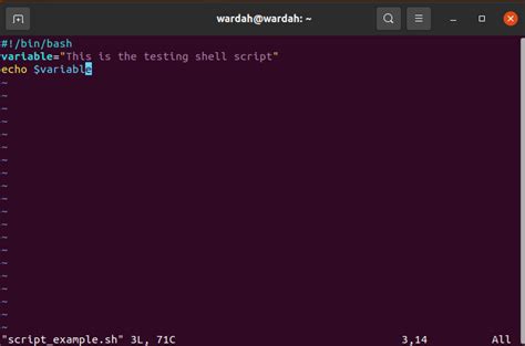 Linux Shell Script To Open In Terminal Birthdaykiza