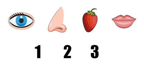 classifying objects into three categories