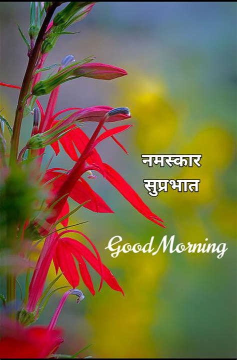 Good Morning Namaskar Suprabhat