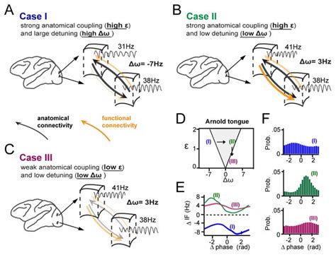 Figures And Data In A Quantitative Theory Of Gamma Synchronization In