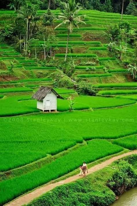 අඩුවට ඉඩමක් නිවසක් ගාල්ලෙන් ගාල්ල නගරයෙන් නිවසක් මිලදී ගැනීමට අවශ්‍යයි