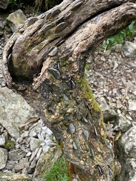 My Stack Rwallstreetsilver My Stack Rwallstreetsilver