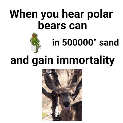 Today Is My 17th Birthday And I Randomly Dreamt Up Something Similar To This R