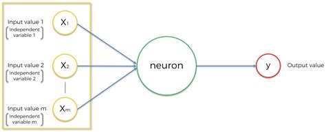 Perceptron The Building Block Of Modern Ai