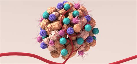 Ctdna For Early Cancer Diagnosis