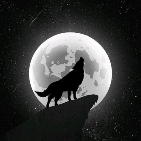 Mohammed Shouraim Ahmed Lords Institute Of Engineering And Technology