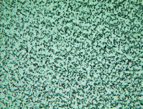 Microstructure Of Magnetorheological Fluids Without A Magnetic Field