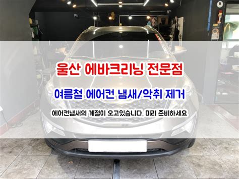 울산 자동차 에바크리닝 전문점 여름철 에어컨 냄새악취 제거 네이버 블로그